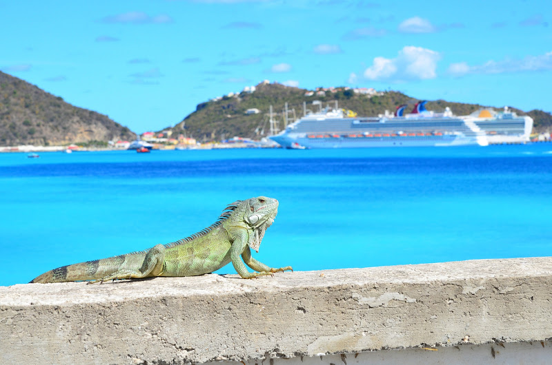 The Nomadic Pinoy: Sint Maarten/St.Martin