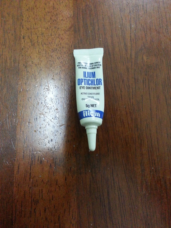 "DUNIA KUCING": Ubat-Ubatan & Supplement yang Kucing kami gunakan