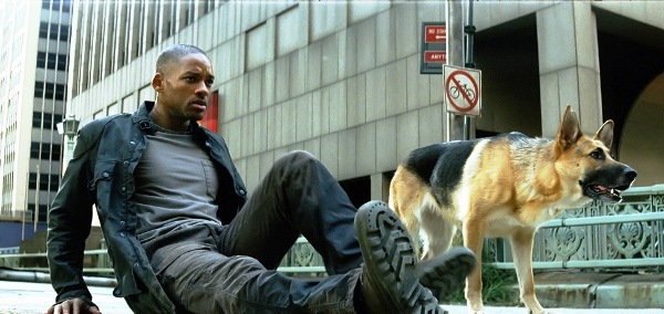 German Shepherds in Films/TV Shows/Ect. | German Shepherds Forum