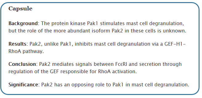 Epiphany: PAK inhibitors not just for Cancer, Alzheimer’s and ...