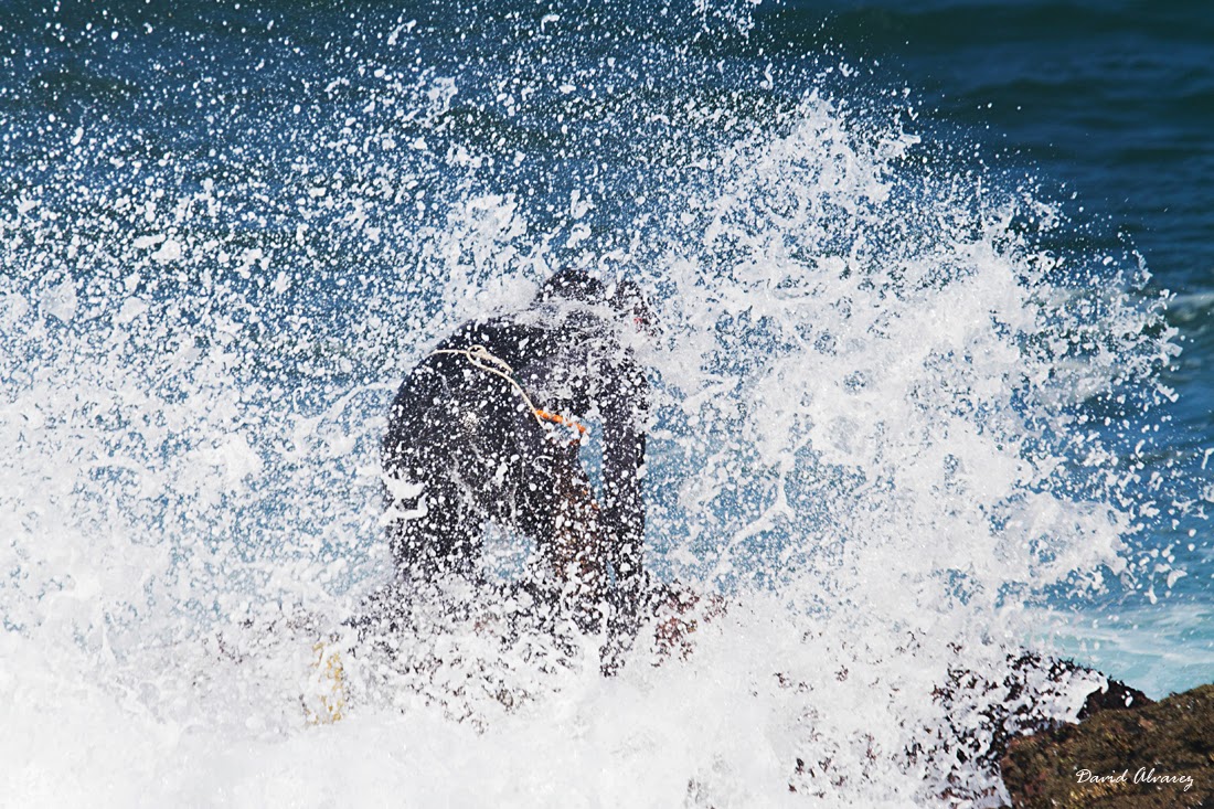 Naturaleza Cantábrica: Percebeiros en Veiga