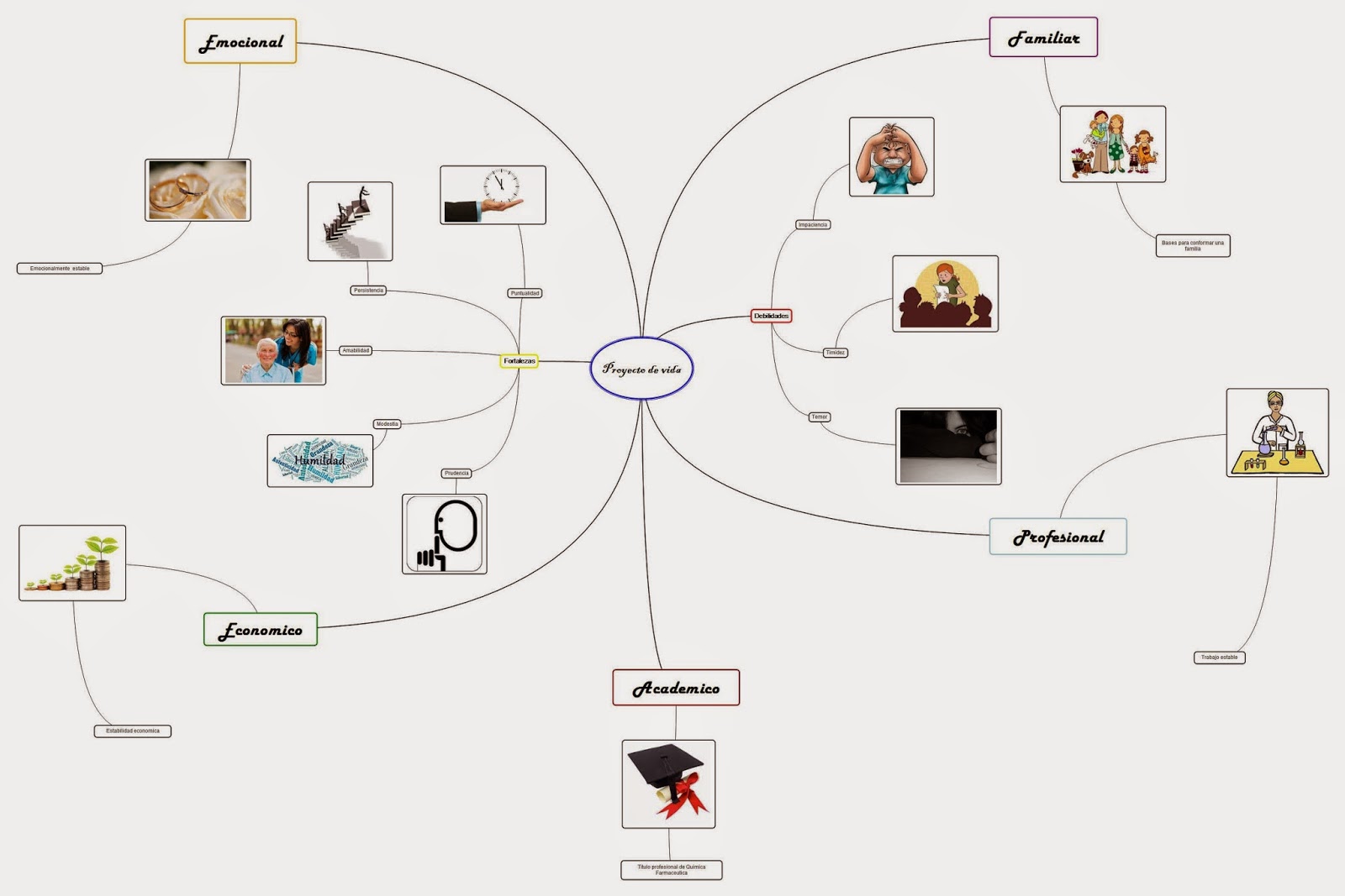 COMUNICACION 2015-1: MAPA MENTAL "PROYECTO DE VIDA"