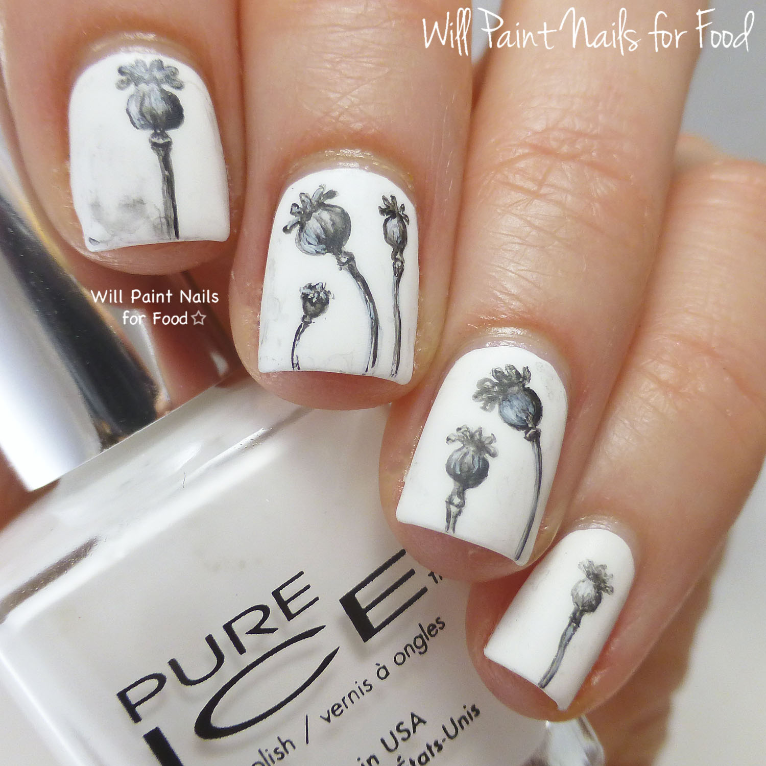 The Digit-al Dozen Does Nature, Day One: Poppy Seed Pods | Will Paint ...