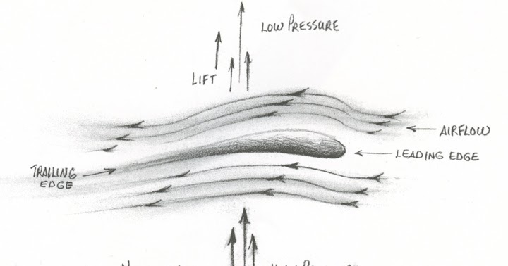 Sandy Scott Art: #424 In the studio: Bird anatomy, con't
