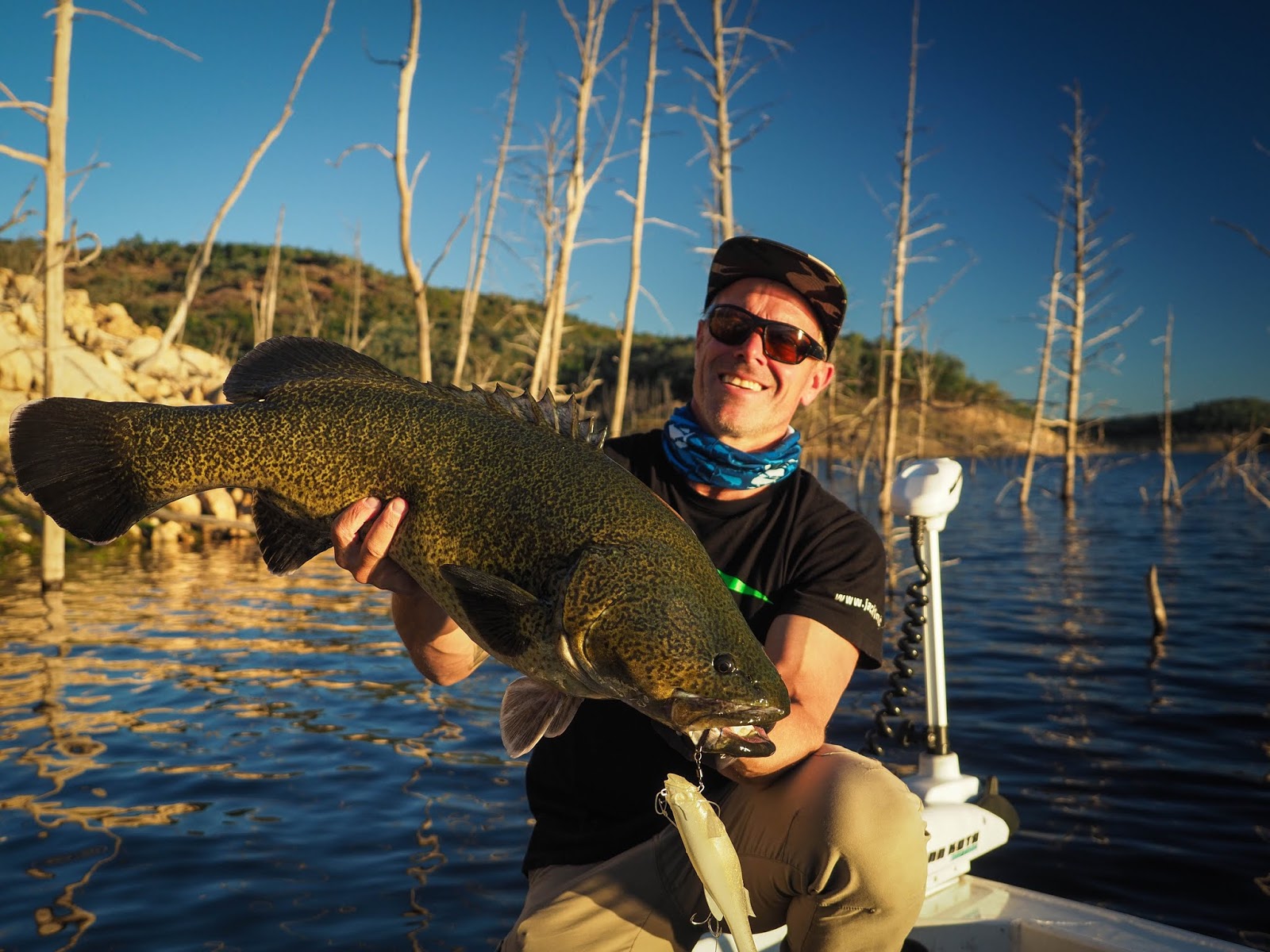 EBB TIDE TACKLE - The BLOG: Megabass Magdraft - our favorite soft ...