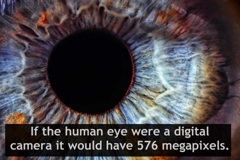 Android Best Of: If our eyes were camera how many megapixel were they?