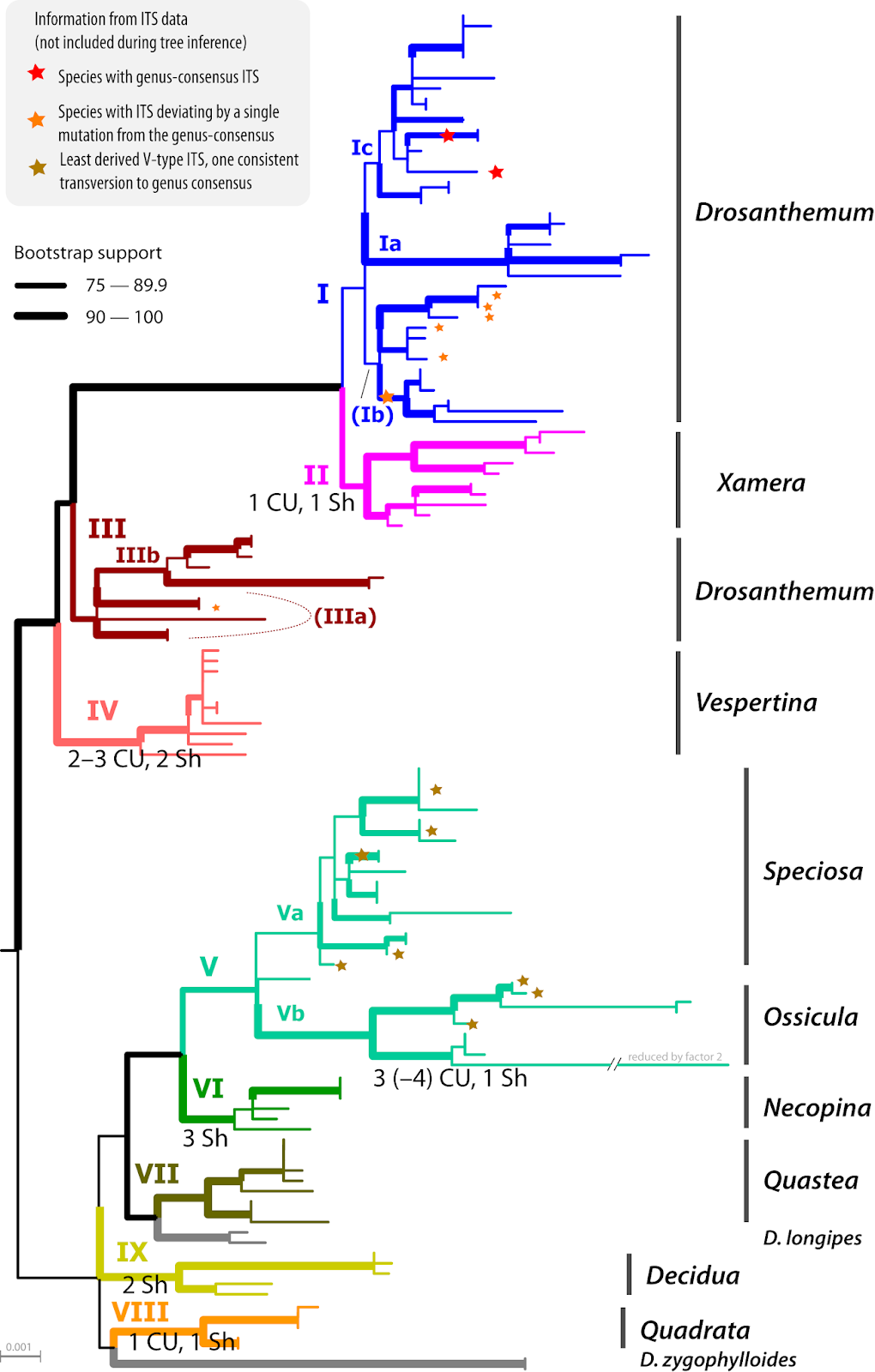 The Genealogical World of Phylogenetic Networks: Trees informing ...