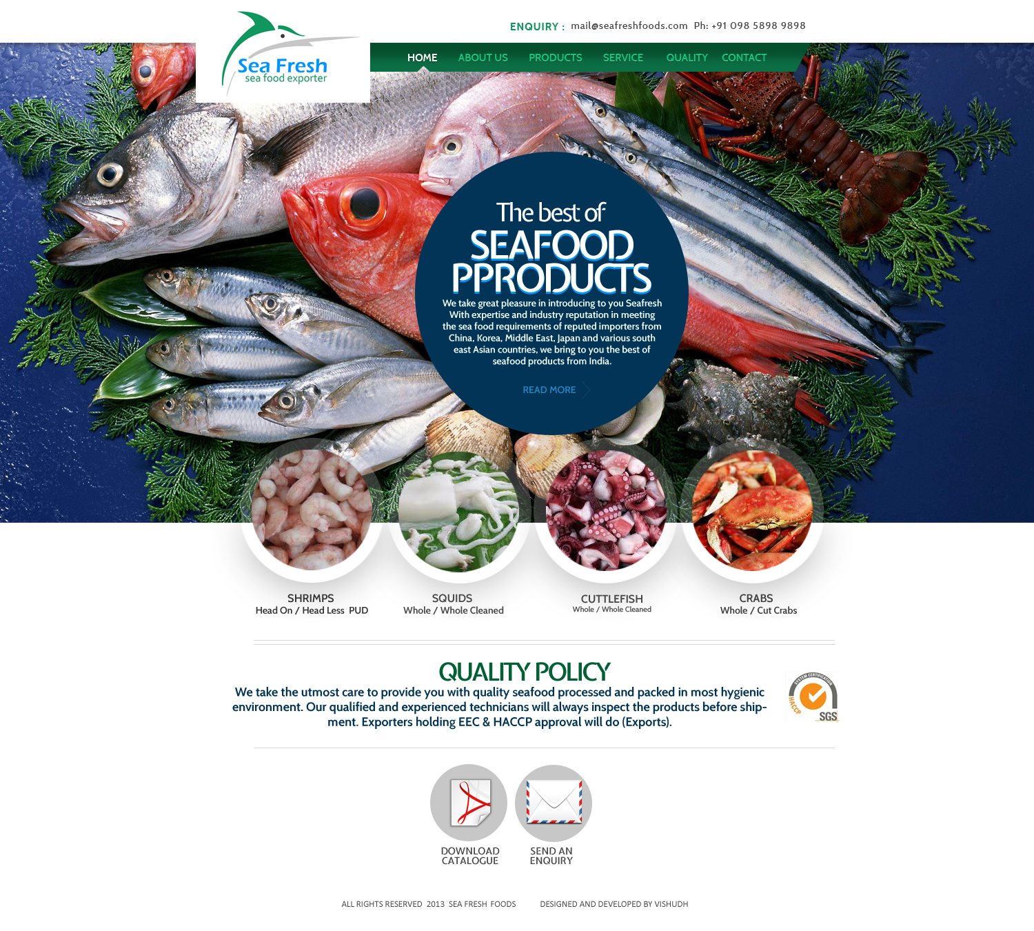 Freelance Web Designer in Kerala | Hire Freelance web designers in ...