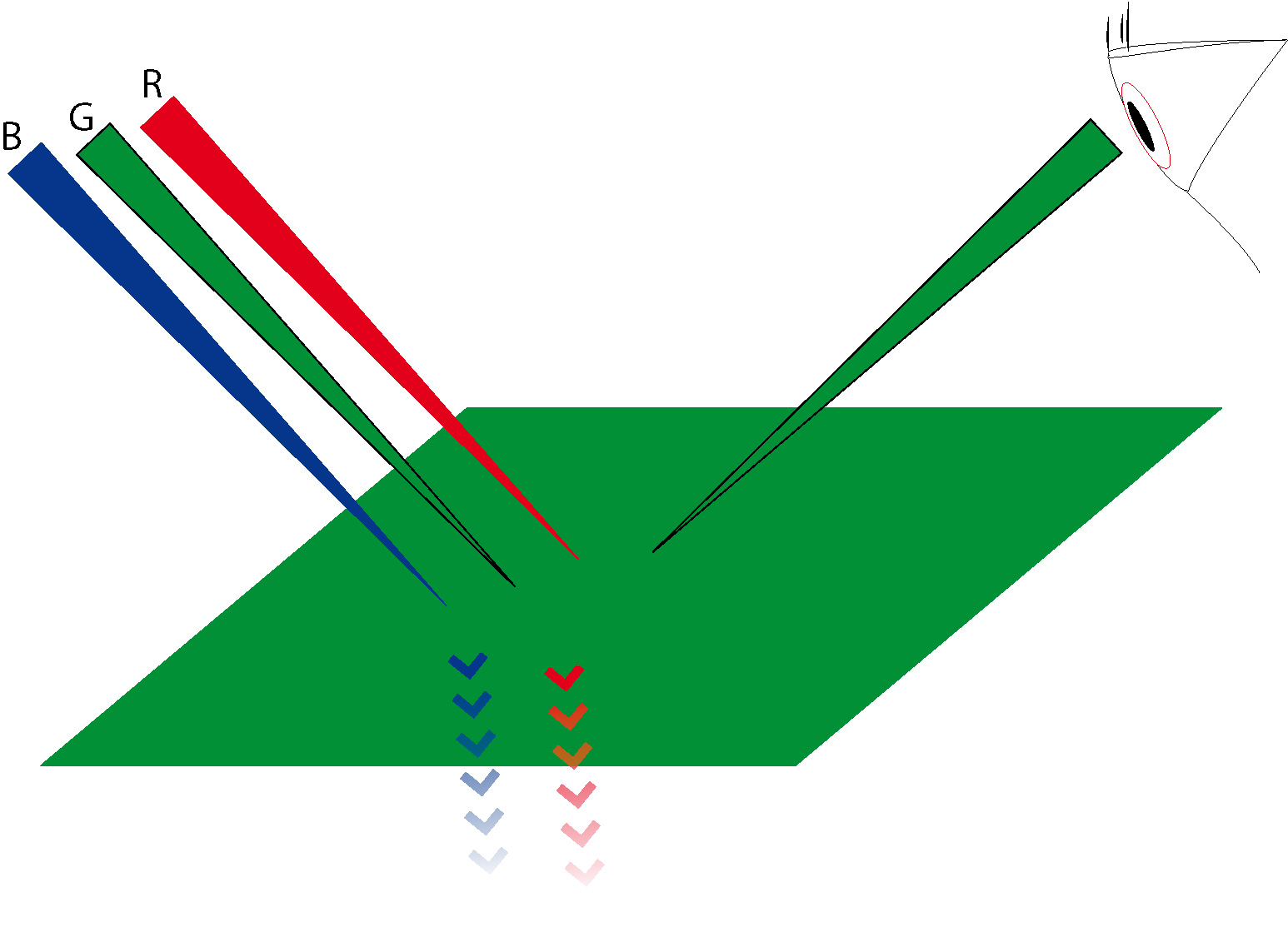 coloruney: Síntesis y Dimensiones del Color - Modelos Bi y tridimensionales
