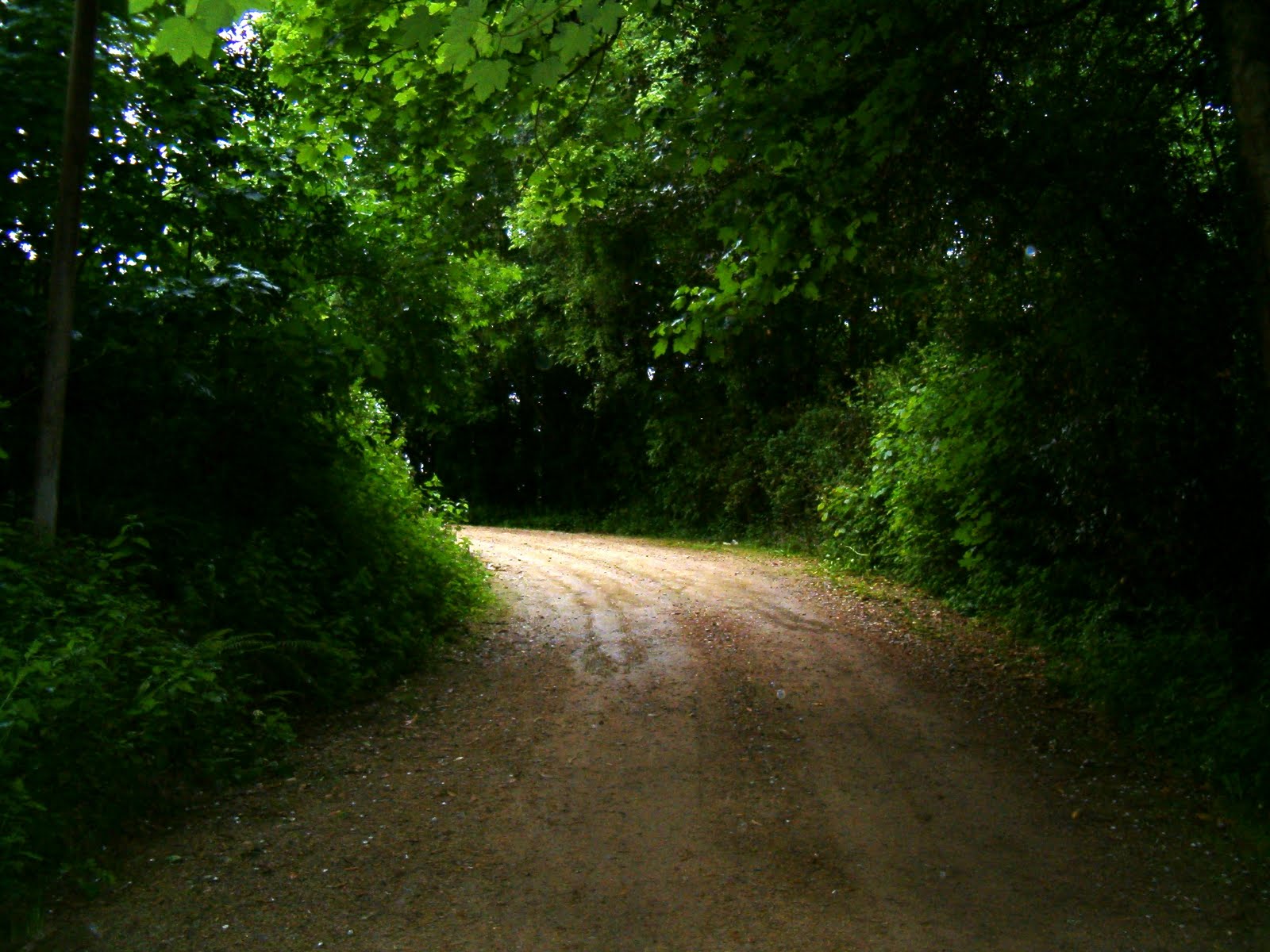 Camudando'l camín: Tueya (Xixón) - Picu'l Sol - Picu Samartín - El Xigal