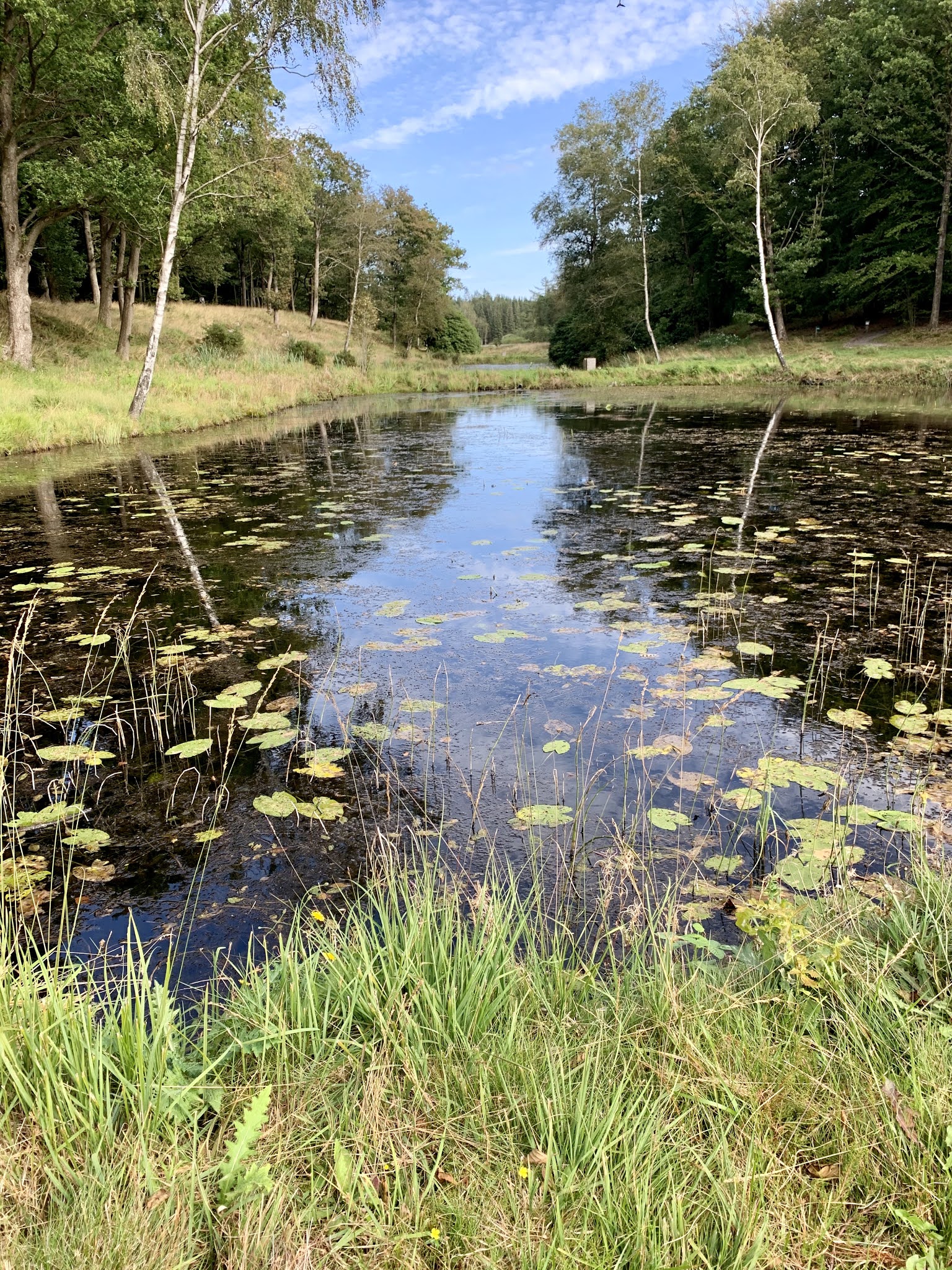 ARNEsFOREDRAG: Kyst til Kyst-stien