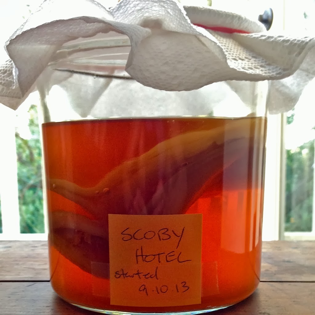 JULES FOOD...: Kombucha brewed with Homemade Mother Scoby and 2nd ...