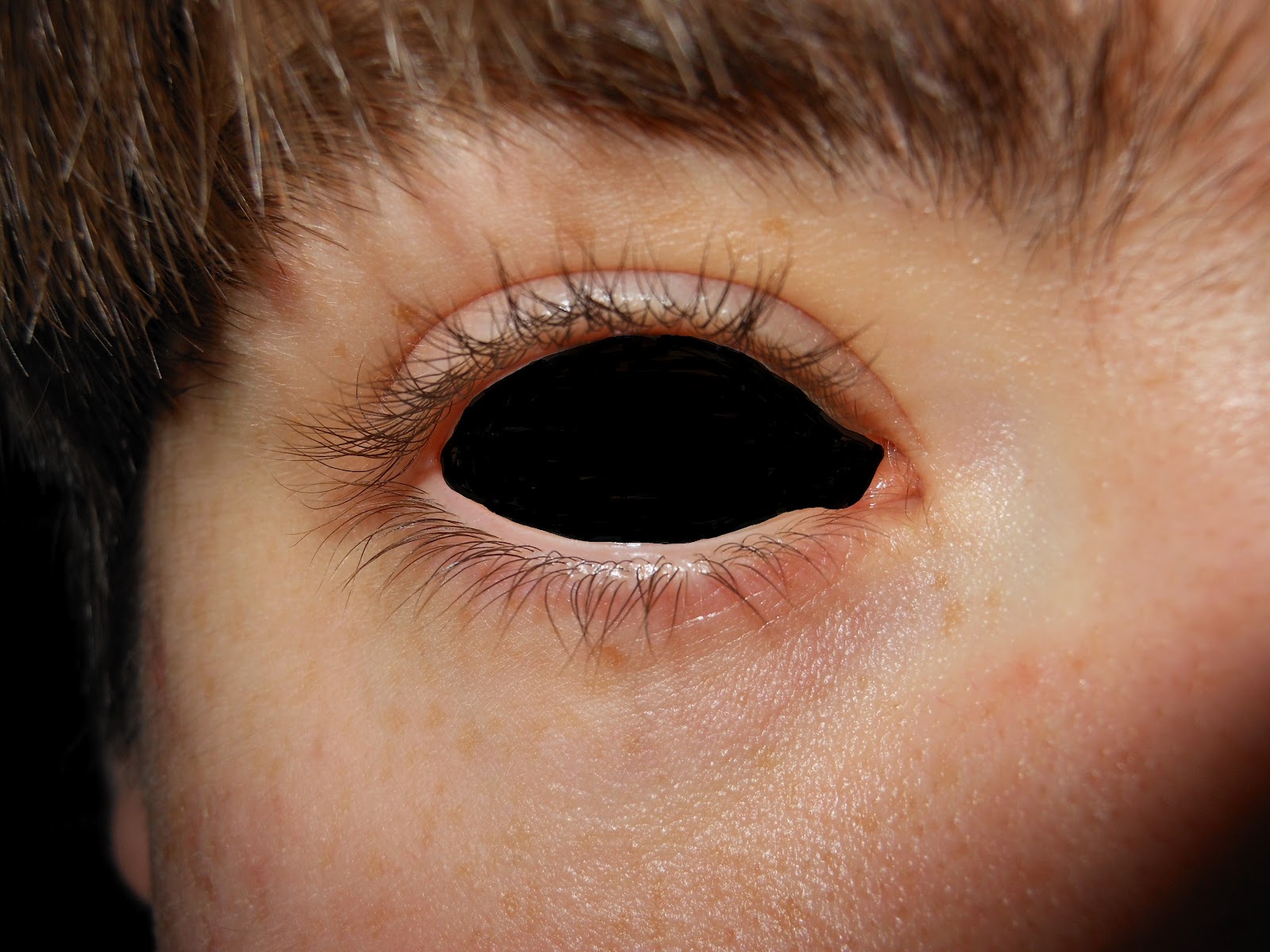 TWILIGHT: A Comprehensive Analysis