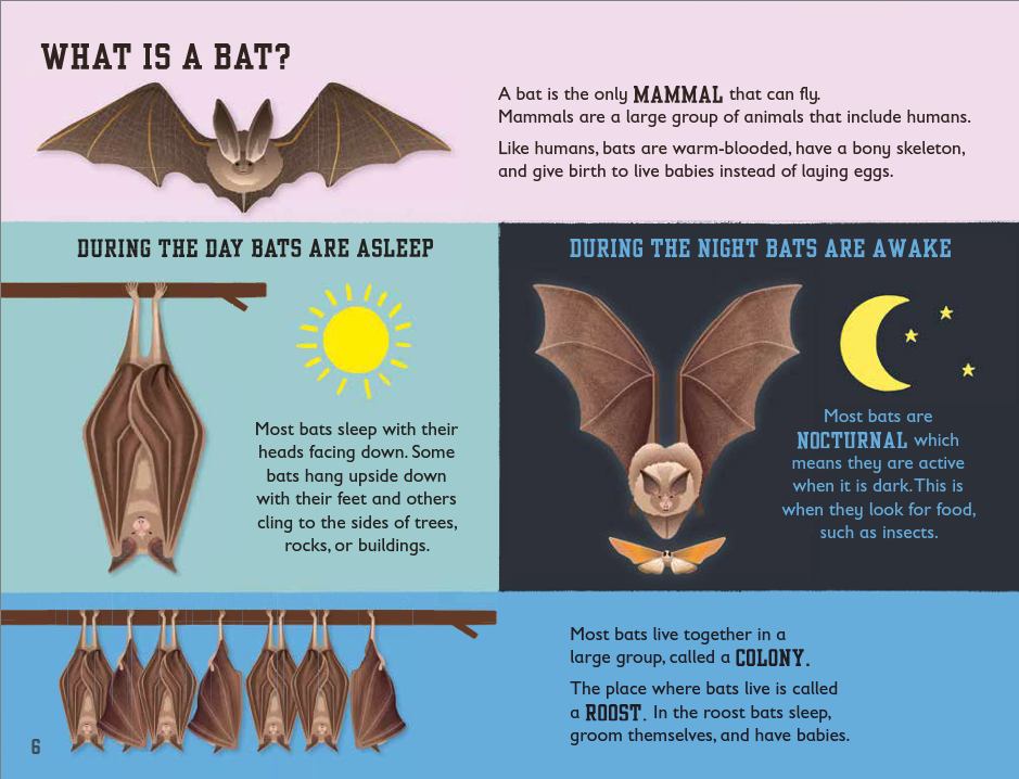 The Bat Book (Conservation for Kids) by Charlotte Milner | Goodreads