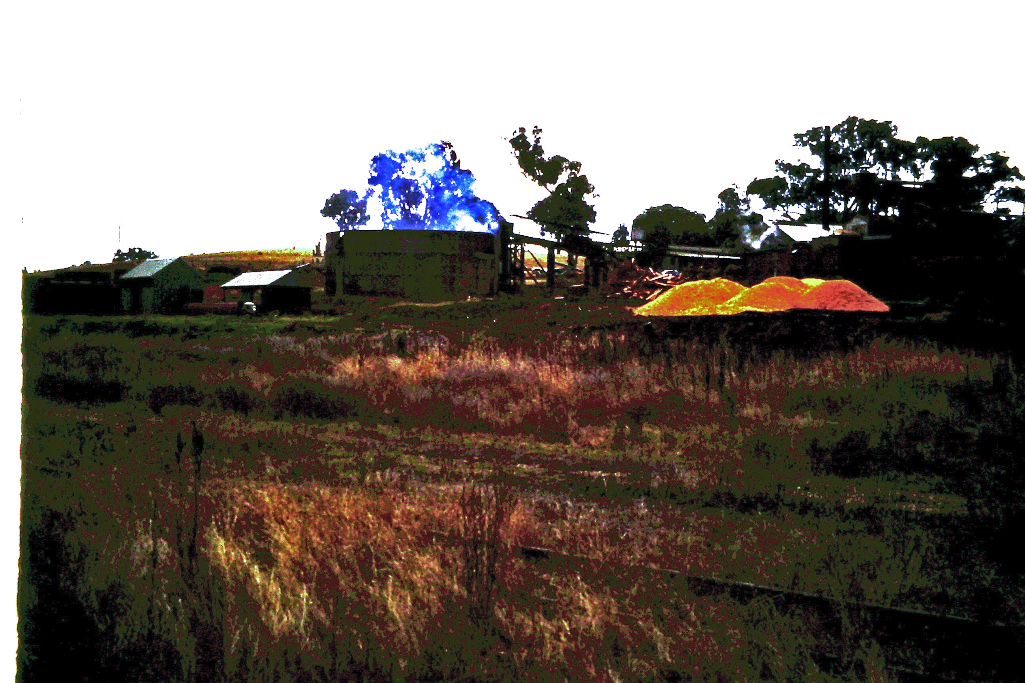 Building Wagga: A visit to Humula