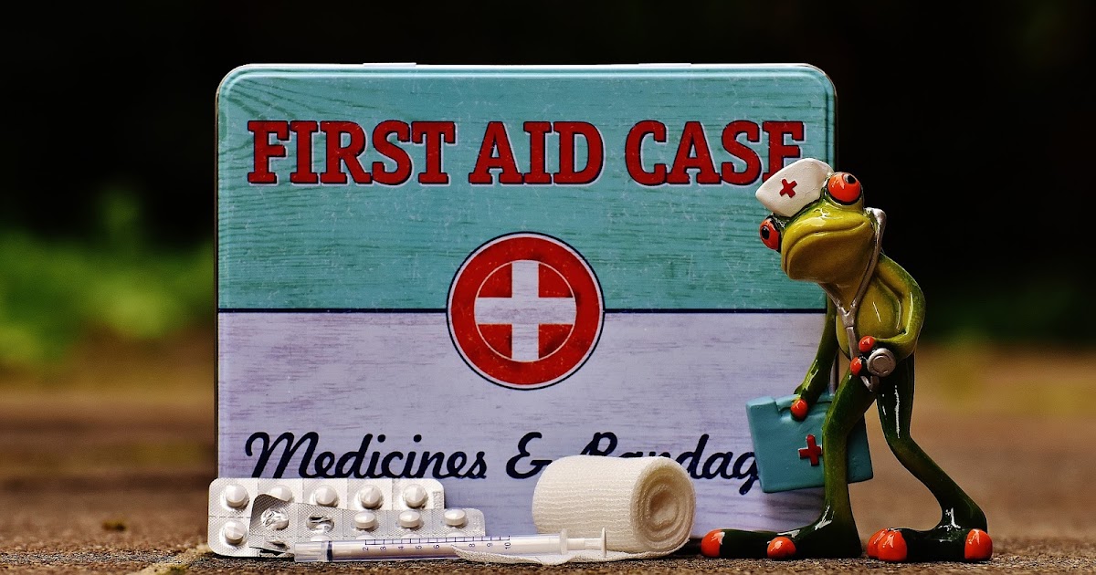 SOP FOR FIRST-AID AND TREATMENT OF ANIMAL INFLICTED BITES / SCRATCHES ...