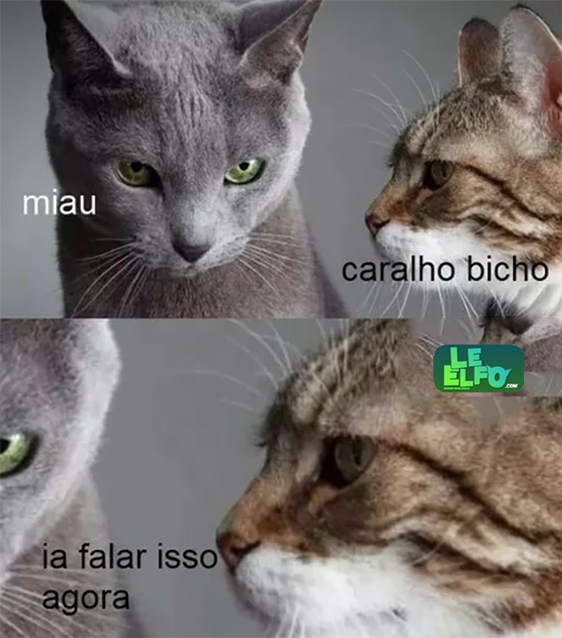 Ia falar isso agora... - Le elfo