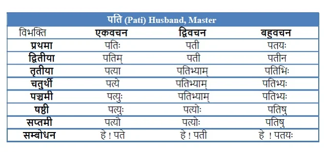 Pati shabd roop in Sanskrit