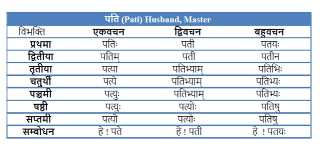 Pati shabd roop in Sanskrit