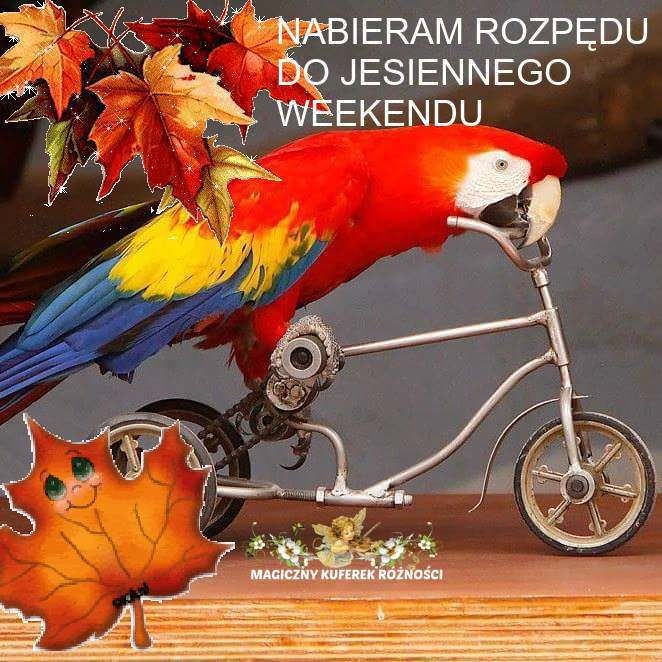 DLA KAŻDEGO: WEEKEND