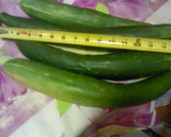 The Hungry Kitchen: Cucumbers! Cucumbers! Cucumbers!