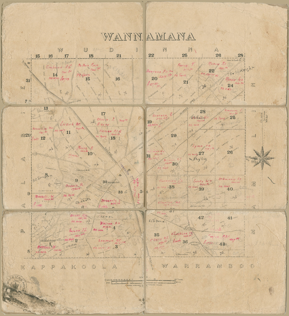 STIRRING THE BONES: Strays # 1