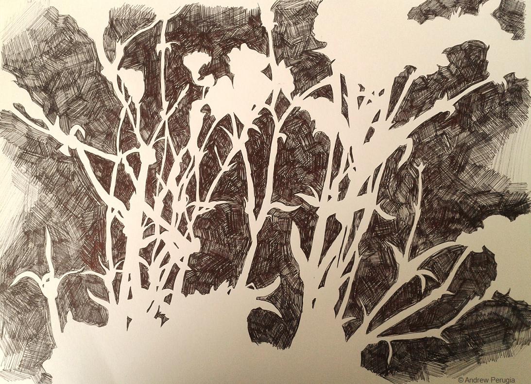 Andrew Perugia Artworks: Drawings: OCA Part 2 IV: Project - Drawing ...