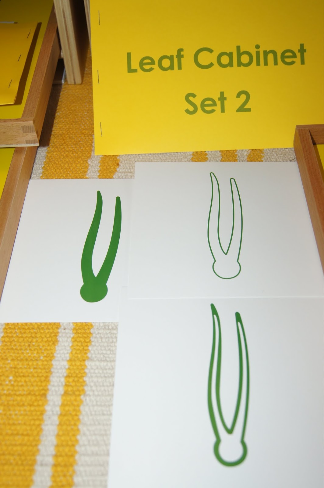 Montessori Leaf Cabinet, Montessori Botany At Home Part 2 - "Making ...