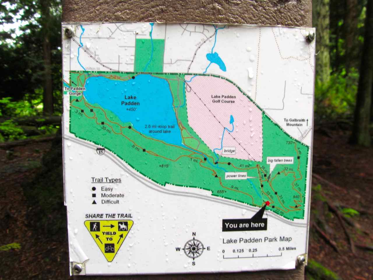 DJan-ity: Lake Padden and a party