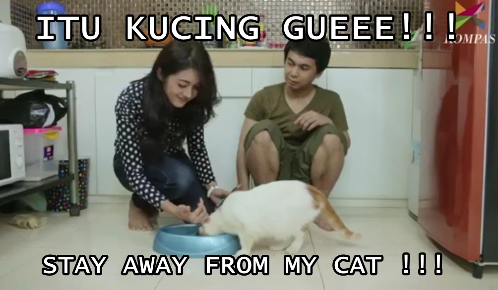 Perdana Blog: Ada Apa dengan Cowok dan Kucing?