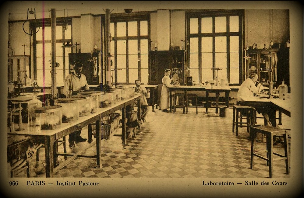 ΙΣΤΟΡΙΑ ΕΛΛΗΝΙΚΗ ΚΑΙ ΠΑΓΚΟΣΜΙΑ : ΙΣΤΟΡΙΑ ΤΟΥ ΕΛΛΗΝΙΚΟΥ ΙΝΣΤΙΤΟΥΤΟΥ ...