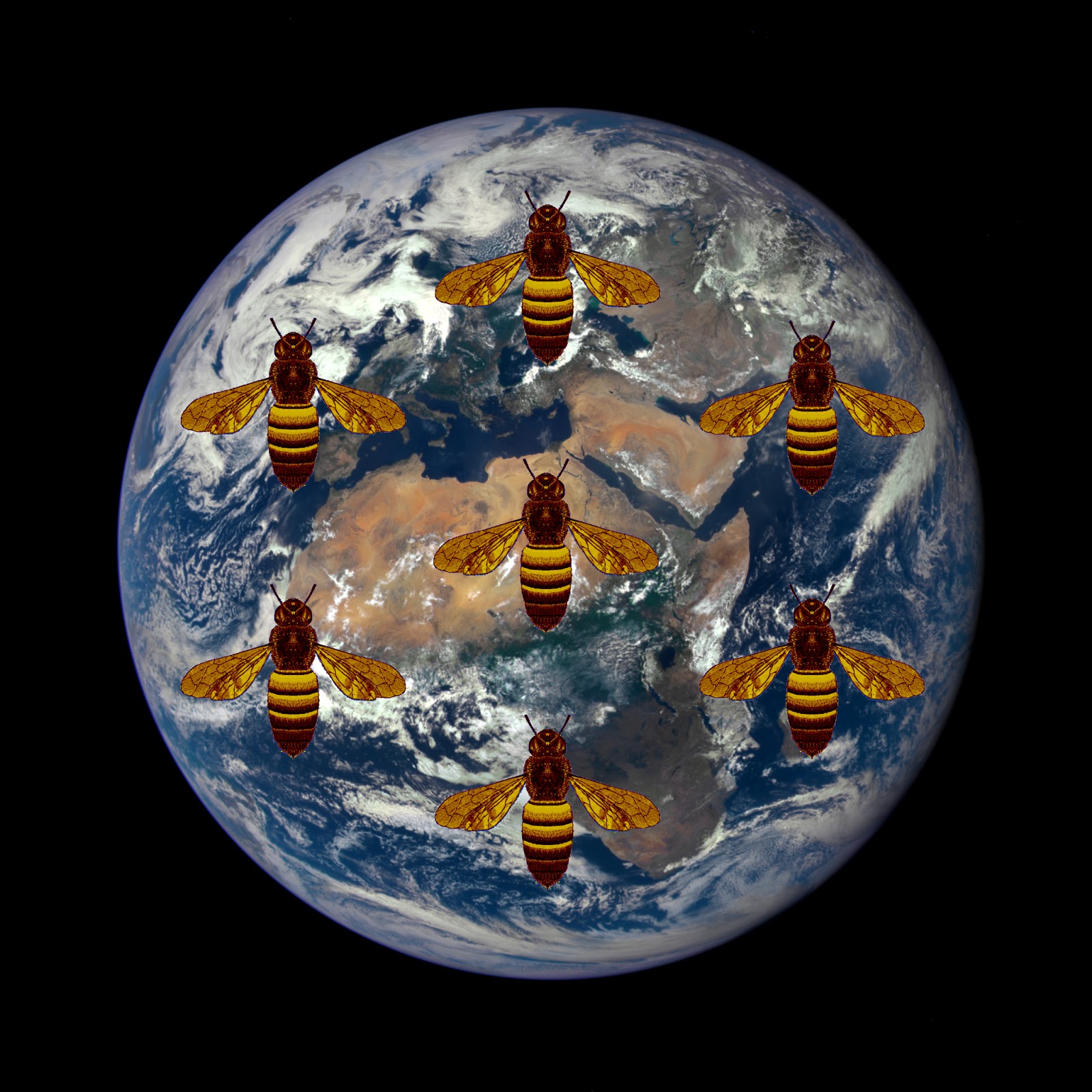 Some bad photos of plants: A Swarm of Golden Space Bees can't find ...