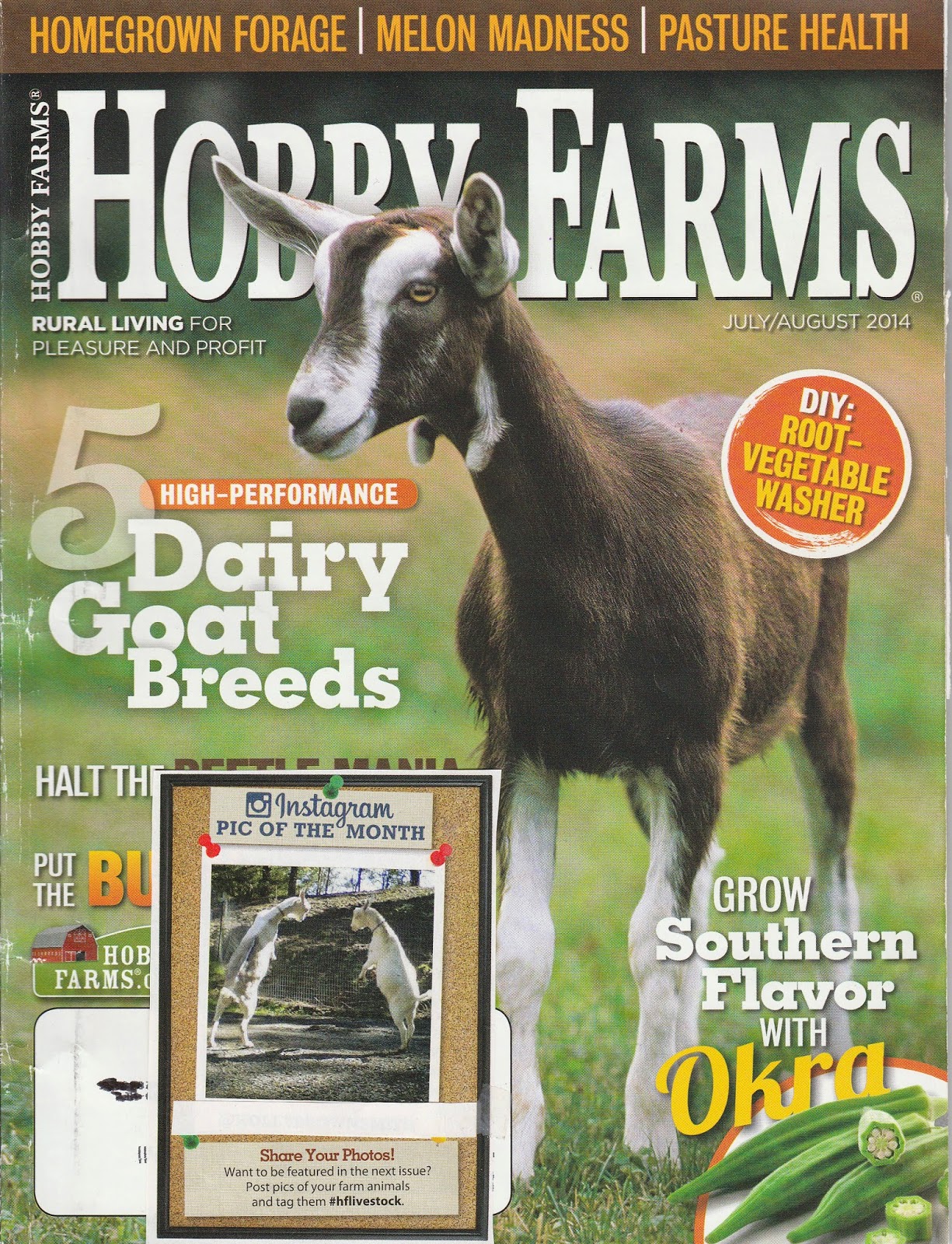 Wedderburn Acres: Hobby Farms Magazine