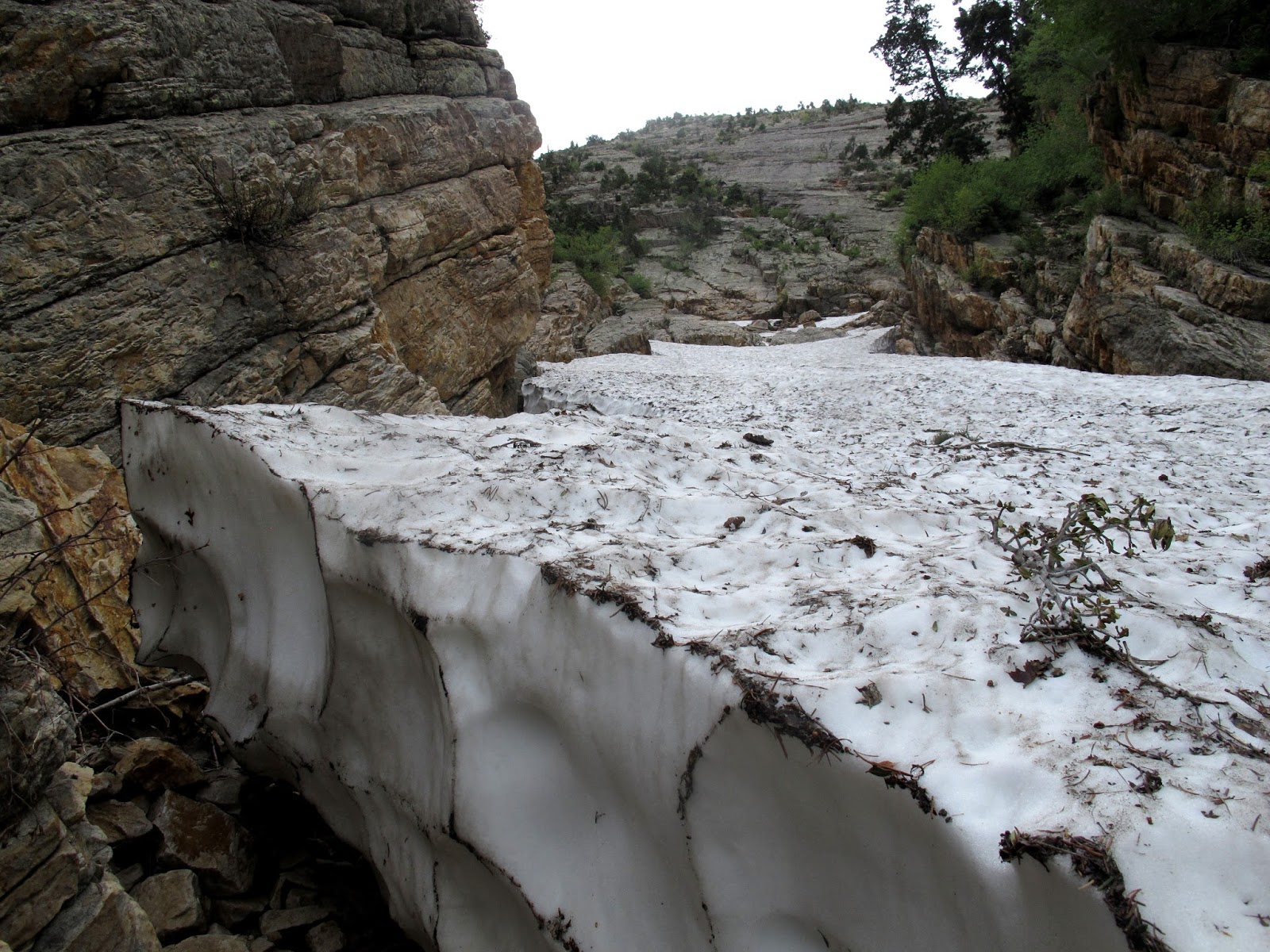 WEST SLABS, MT. OLYMPUS, UTAH - ADAM HAYDOCK