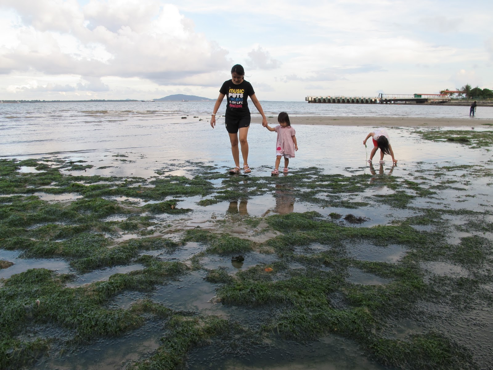 With Kids, We Go...: Intertidal @ Changi Beach