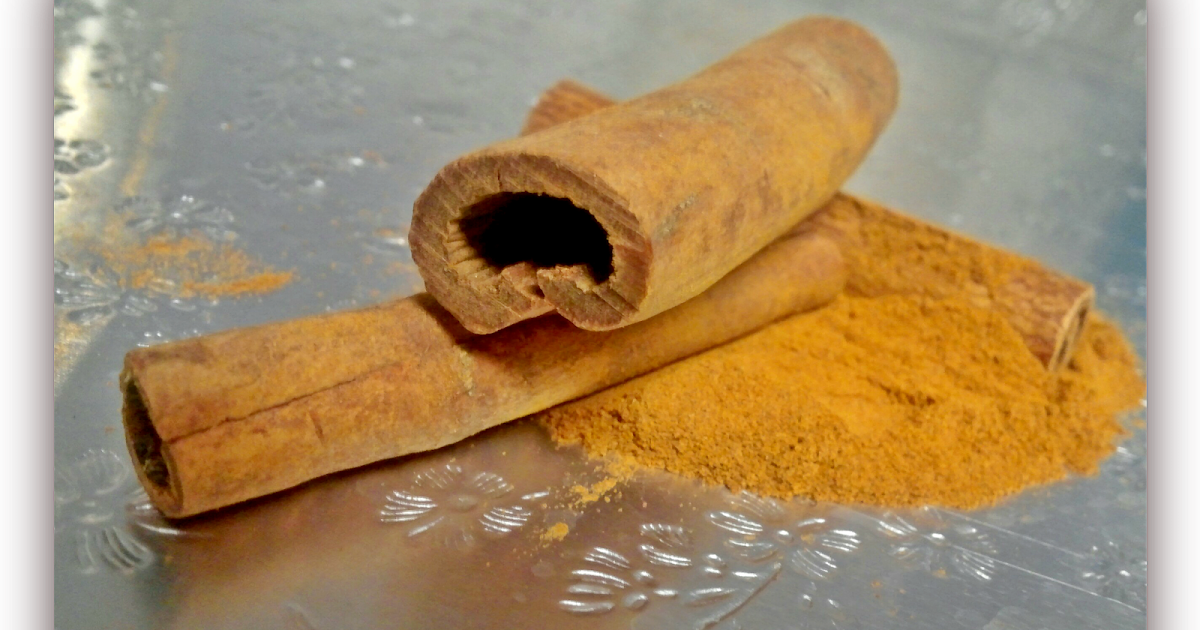Spice Spotlight: Cinnamon!
