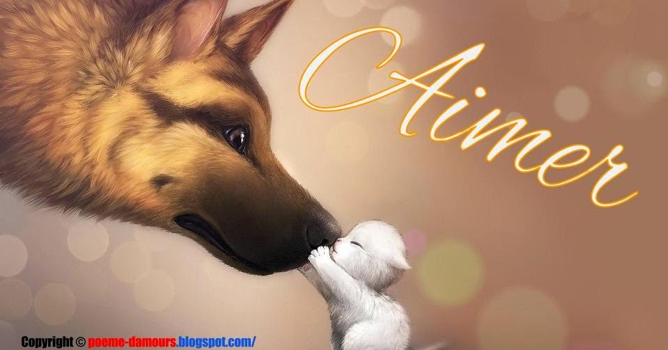 Aimer et Proverbes sur Aime