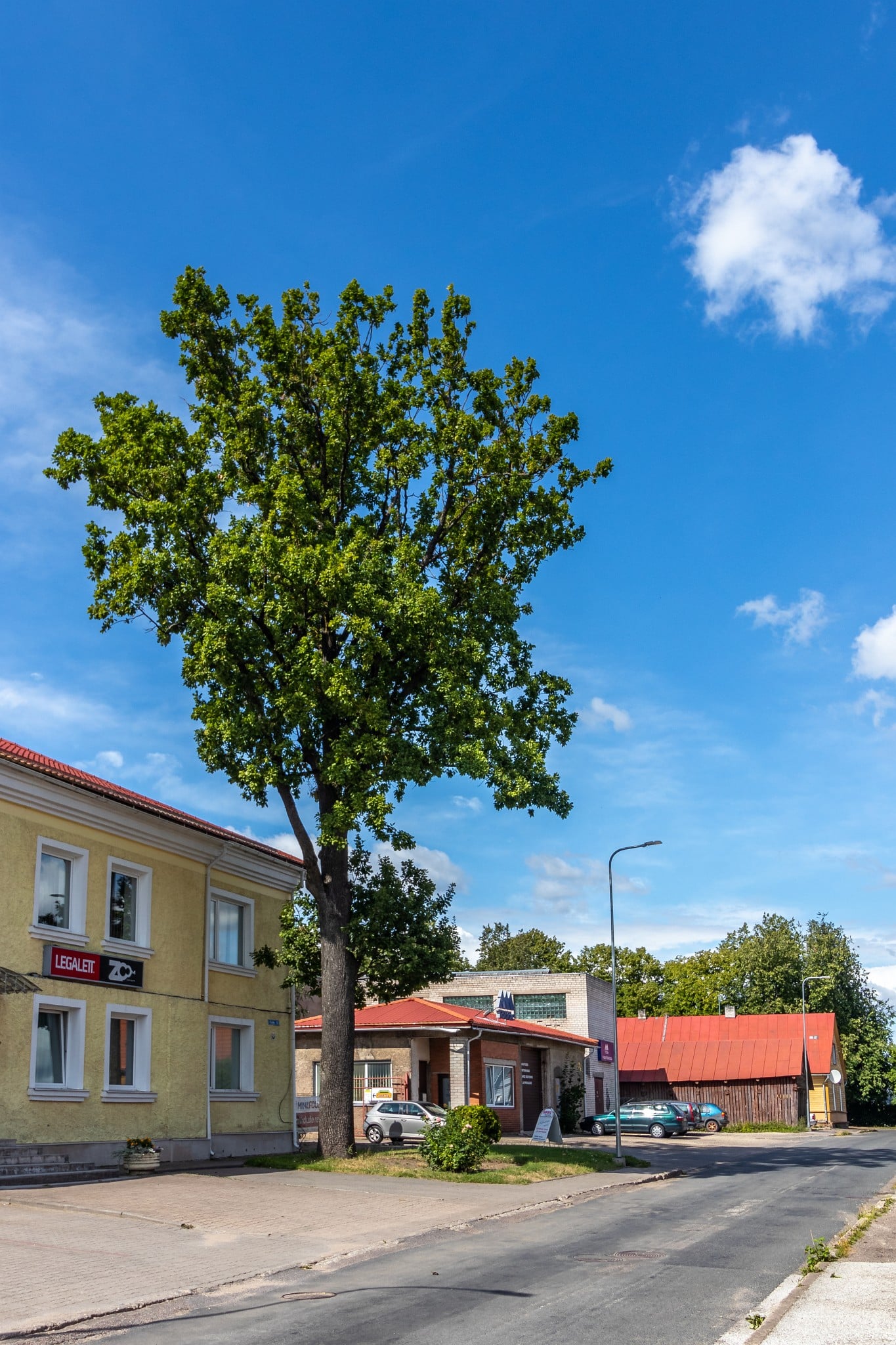 Vaba Eestimaa Ajaleht: 2021