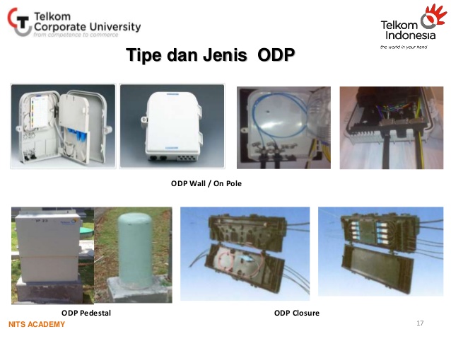 ZahrulHanifahBlog: Jenis-Jenis ODP