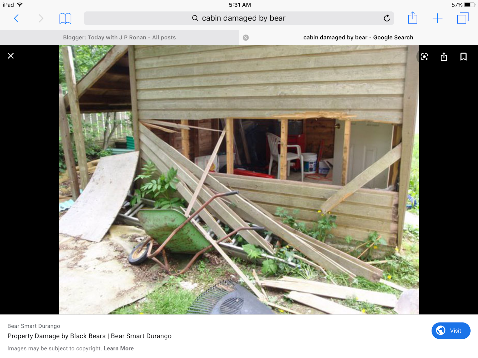 Today with J P Ronan: Bear proof ur cabin