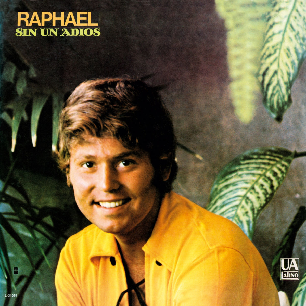 Mis discografias : Discografia Raphael