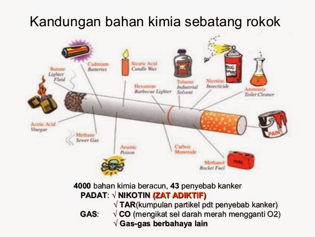 Bahaya Narkoba dan Rokok