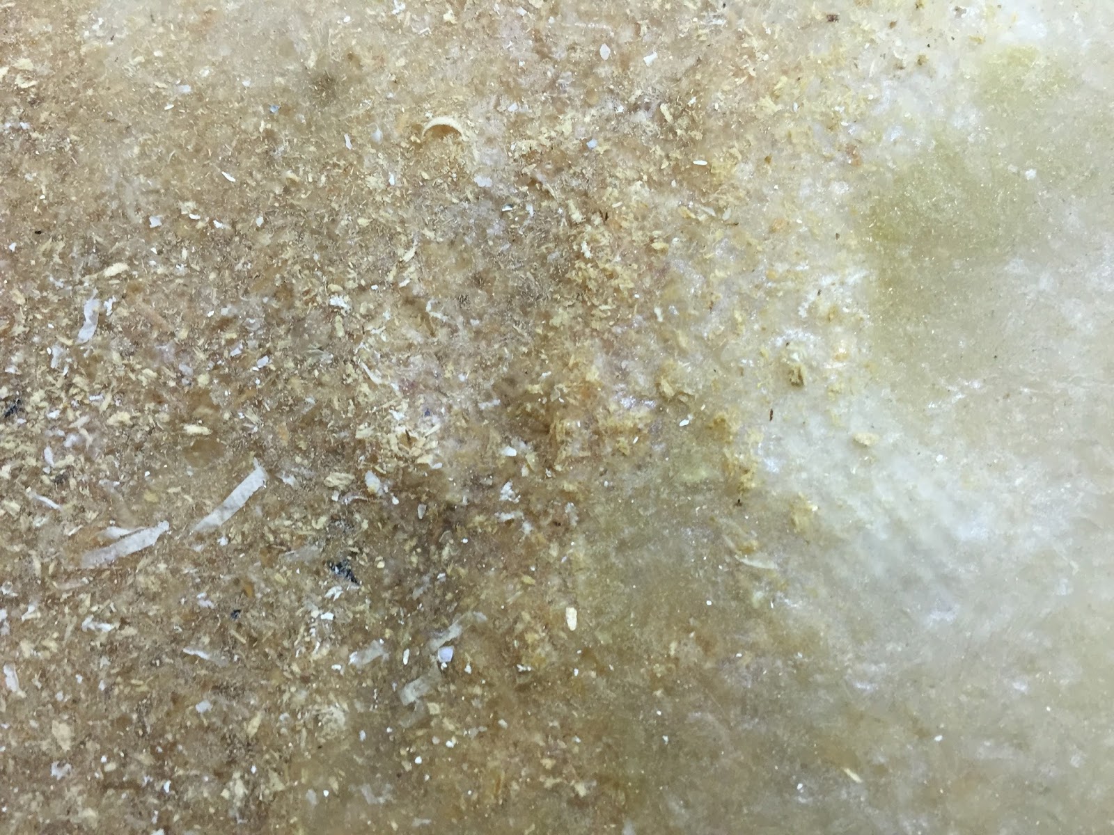 Group 2: Pykrete Demonstration: May 2016