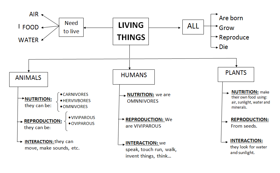 Los blogueros de Tercero: NATURAL