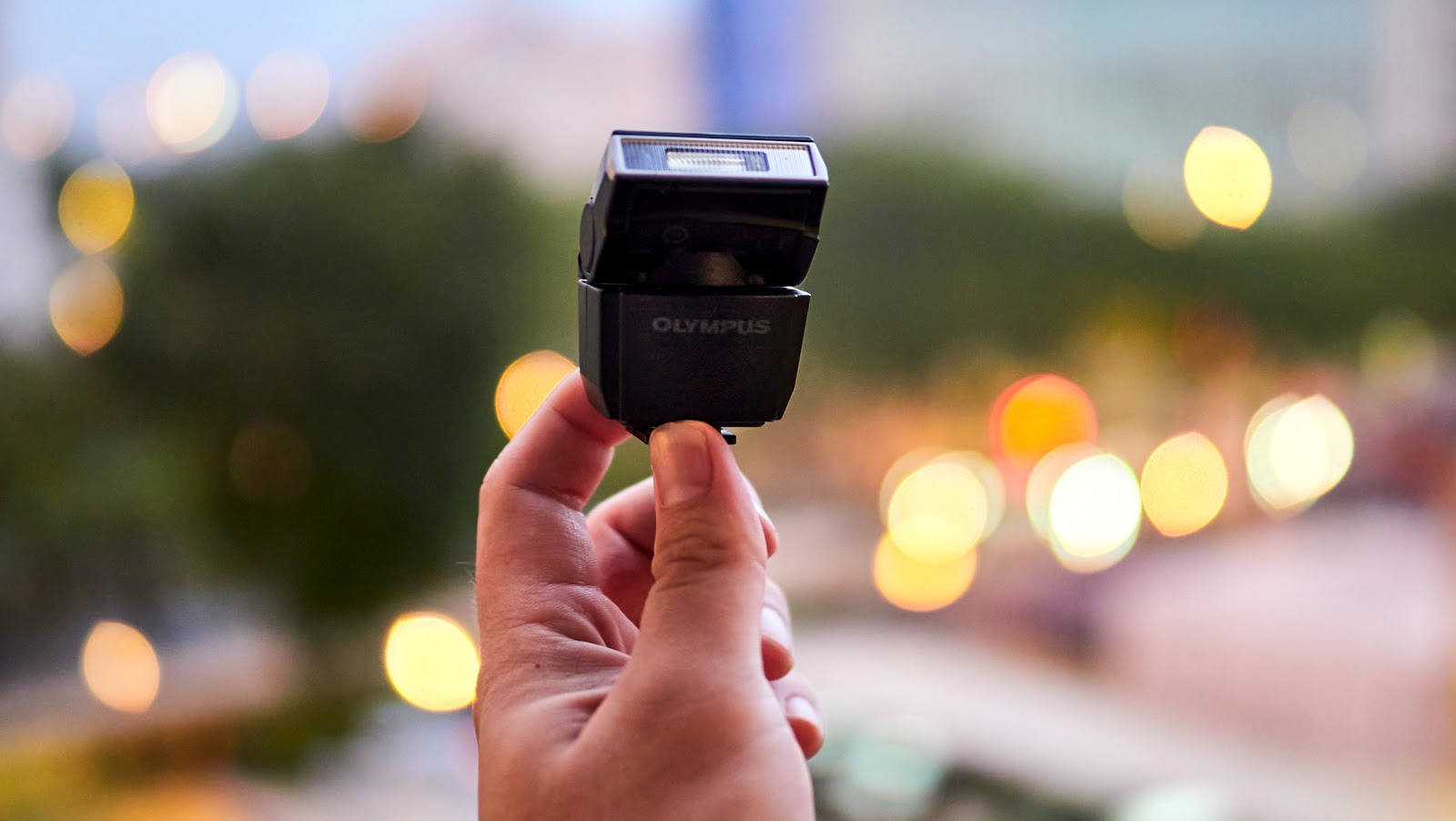 ROBIN WONG : Olympus FL-LM3 Mini Flash