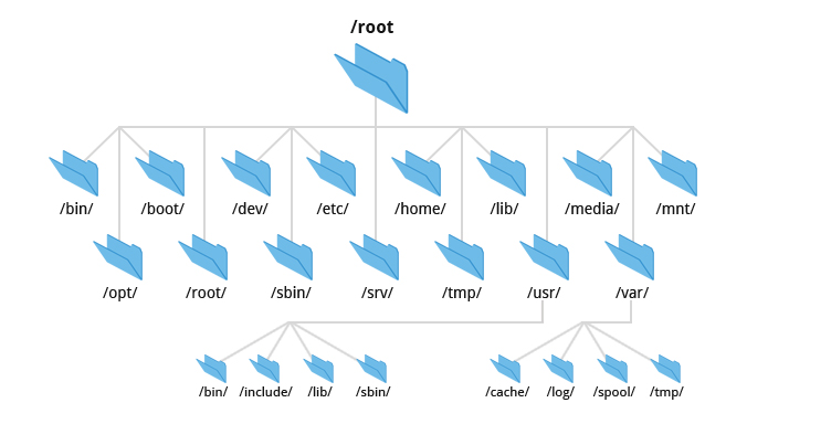 Introduction to Kali Linux