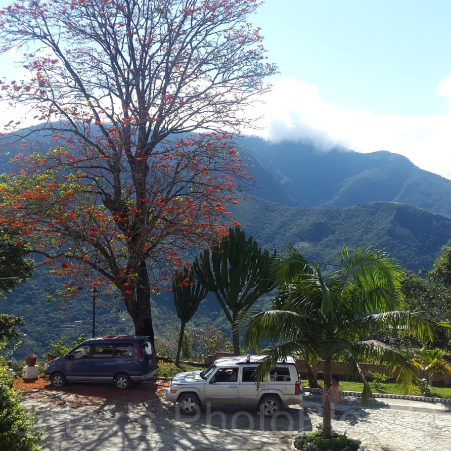 Jotax´s Photo Blog: Coroico