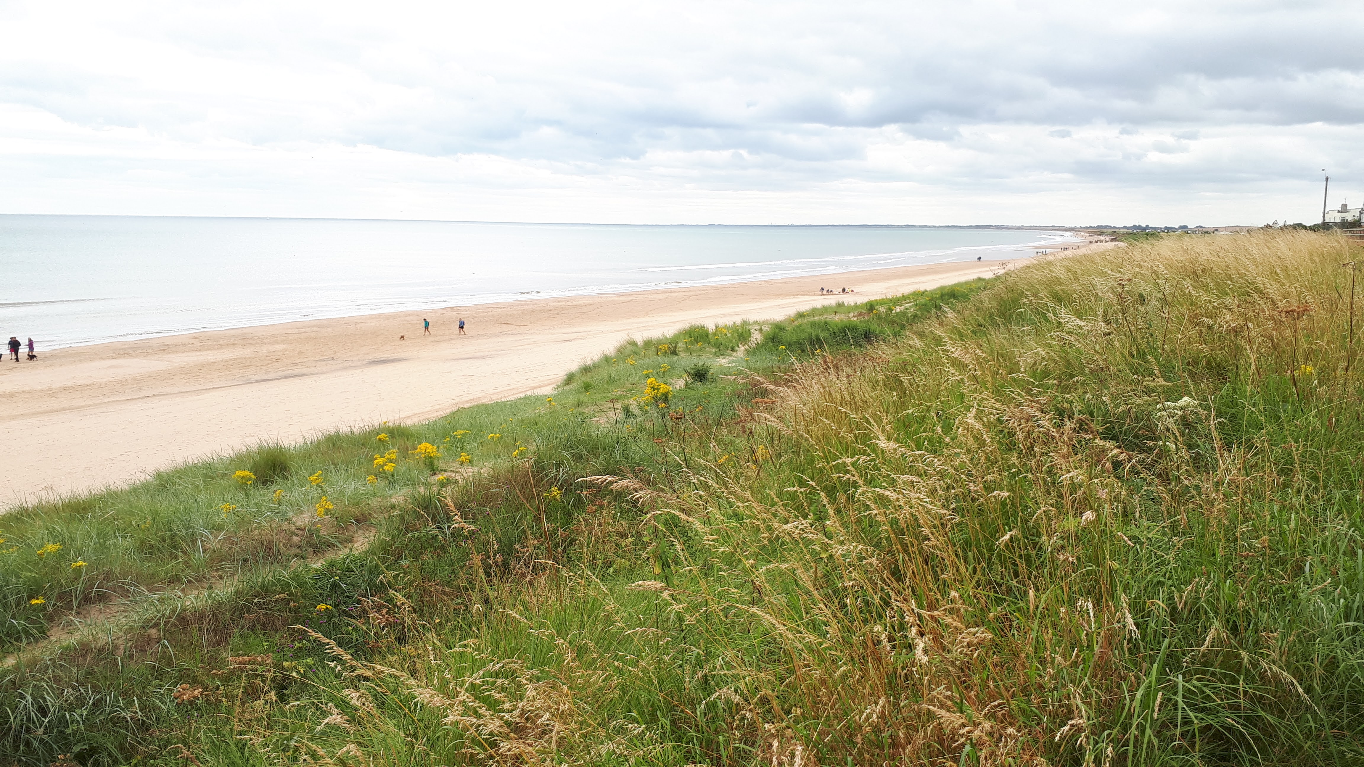 Wild at Hull: Migrants Way. Stage 13. Barmston to Bridlington