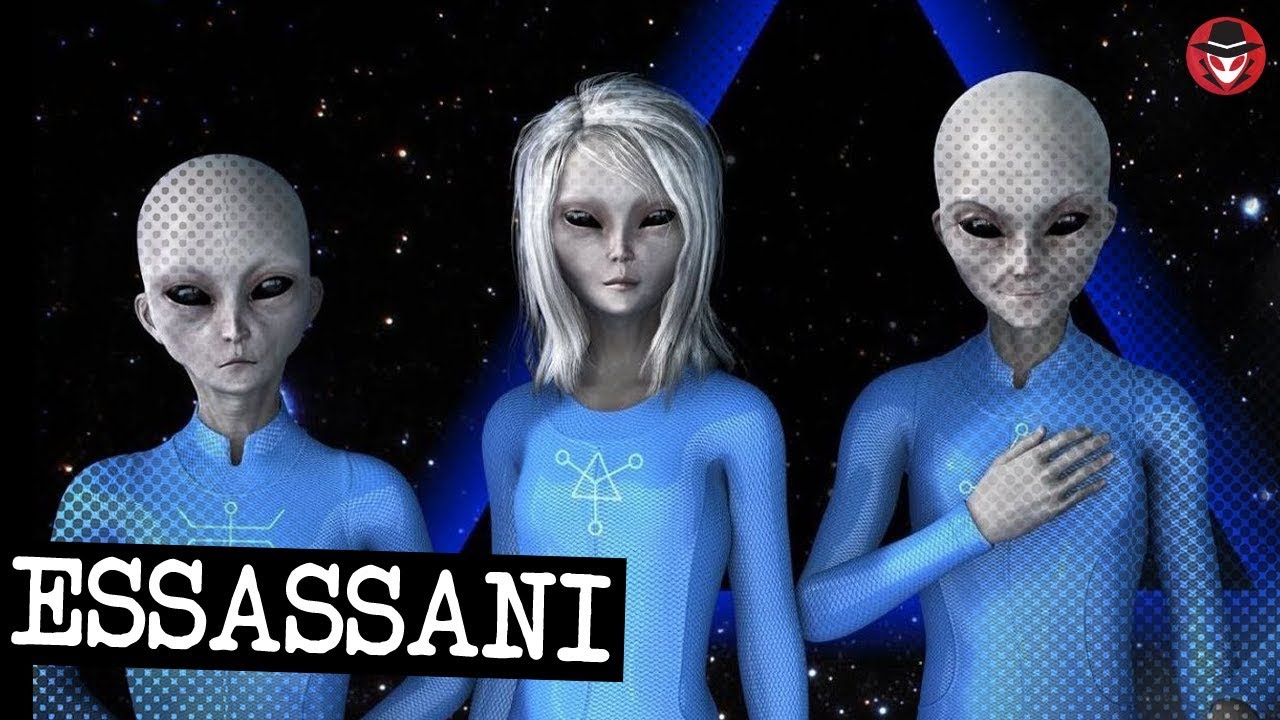 BASHAR: Can you comment a little bit about what your race looks like ...