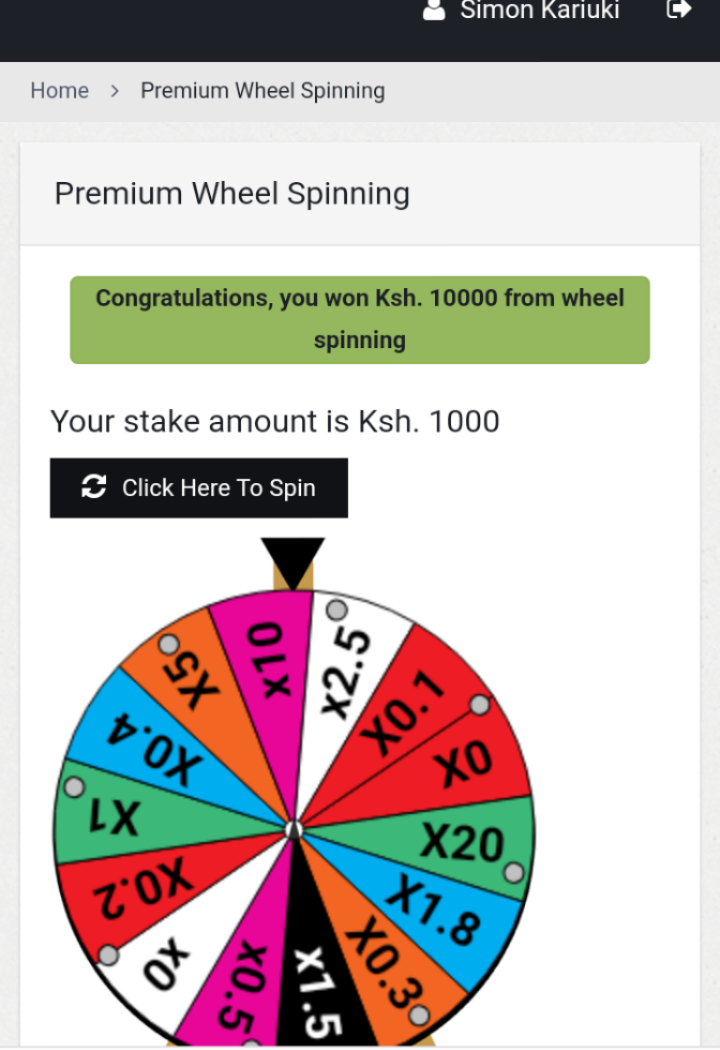 EAGLE WEB E-COMMERCE PRESENTATION